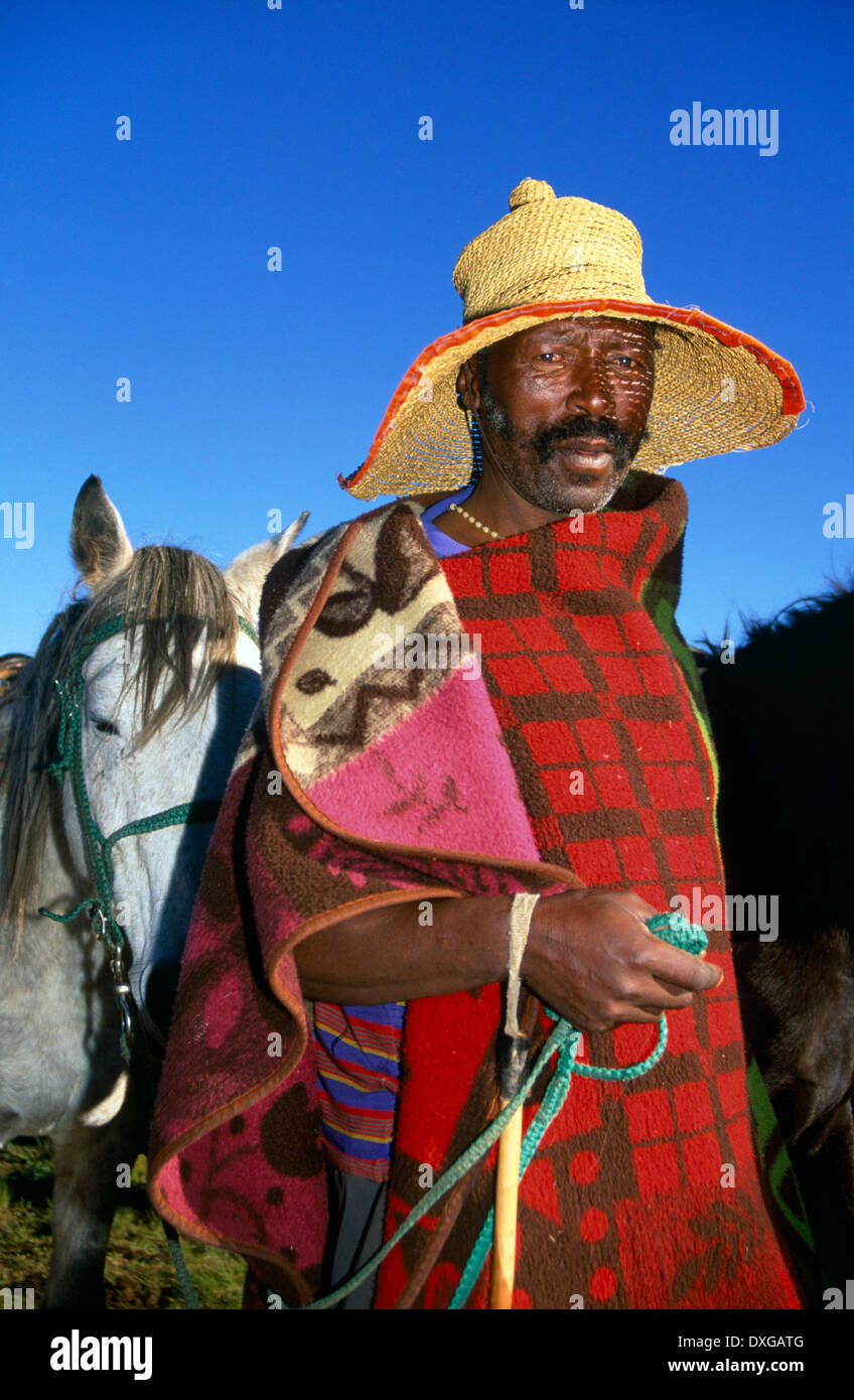 Basotho pony hi-res stock photography and images - Alamy
