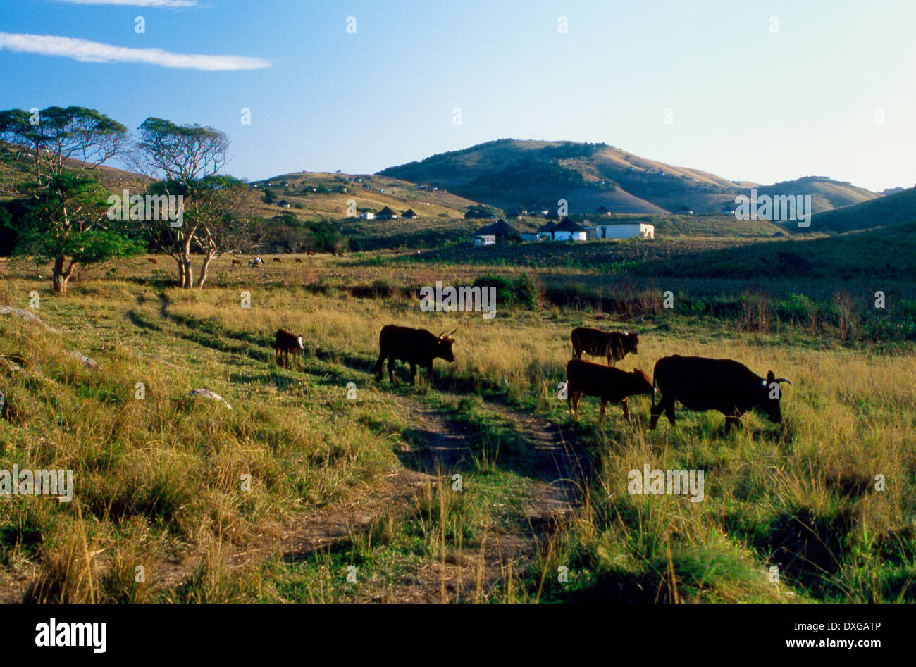 Mbotyi Stock Photos & Mbotyi Stock Images - Alamy