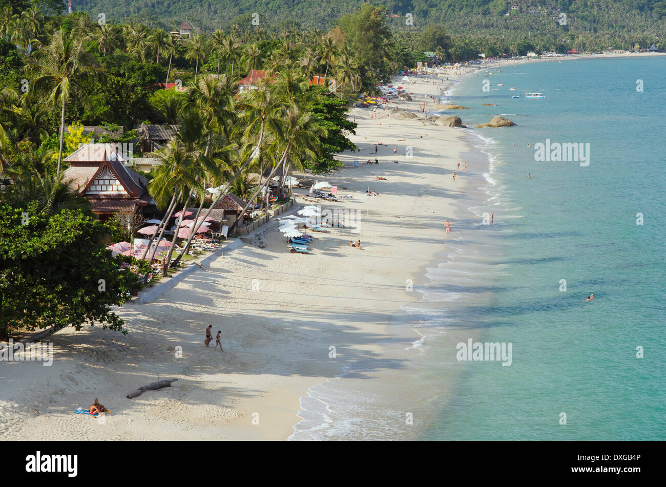 Beach with palm trees, Lamai Beach, Ko Samui, Thailand Stock Photo - Alamy
