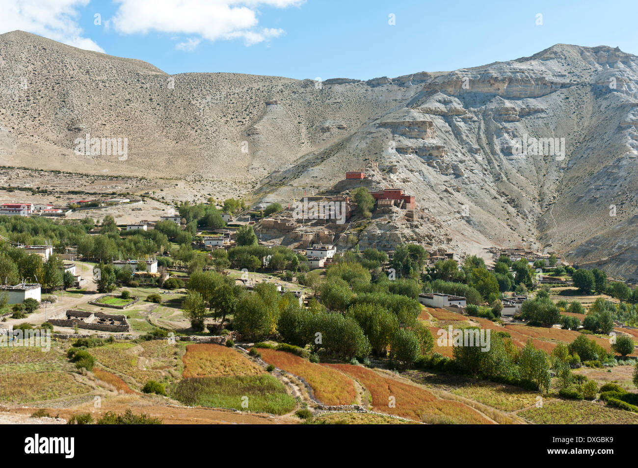 The village of Geling with the Tashi Choling Gompa, monastery, fields ...