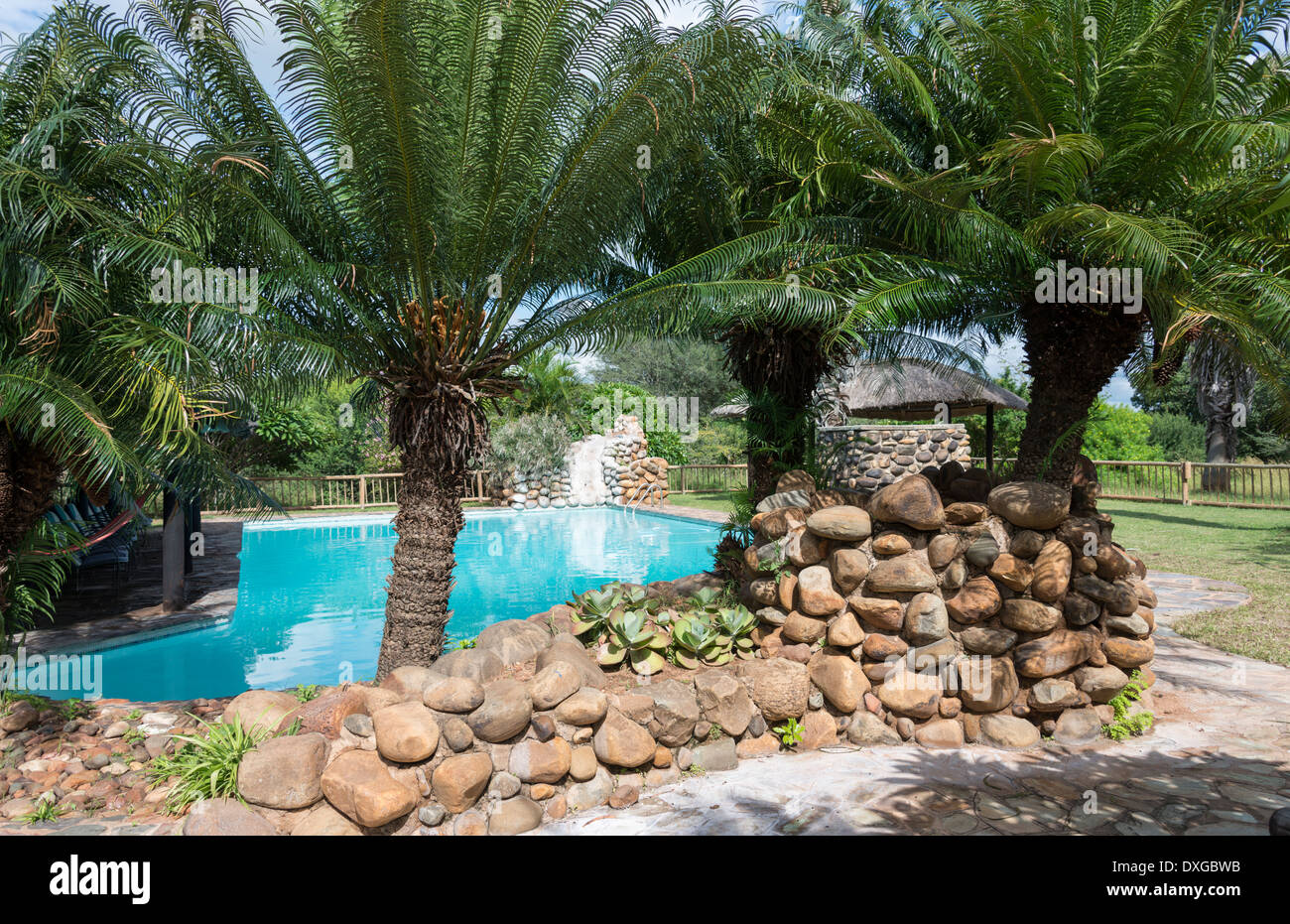 tropical swimming pool with palm trees in lodge south africa Stock ...