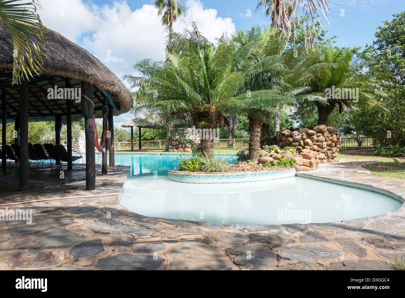 tropical swimming pool with palm trees in lodge south africa Stock ...