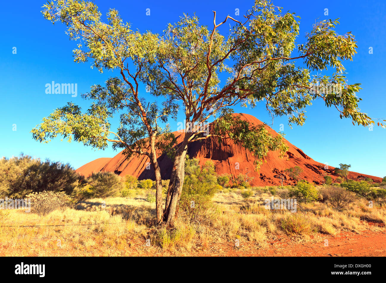 Rock paths hi-res stock photography and images - Alamy