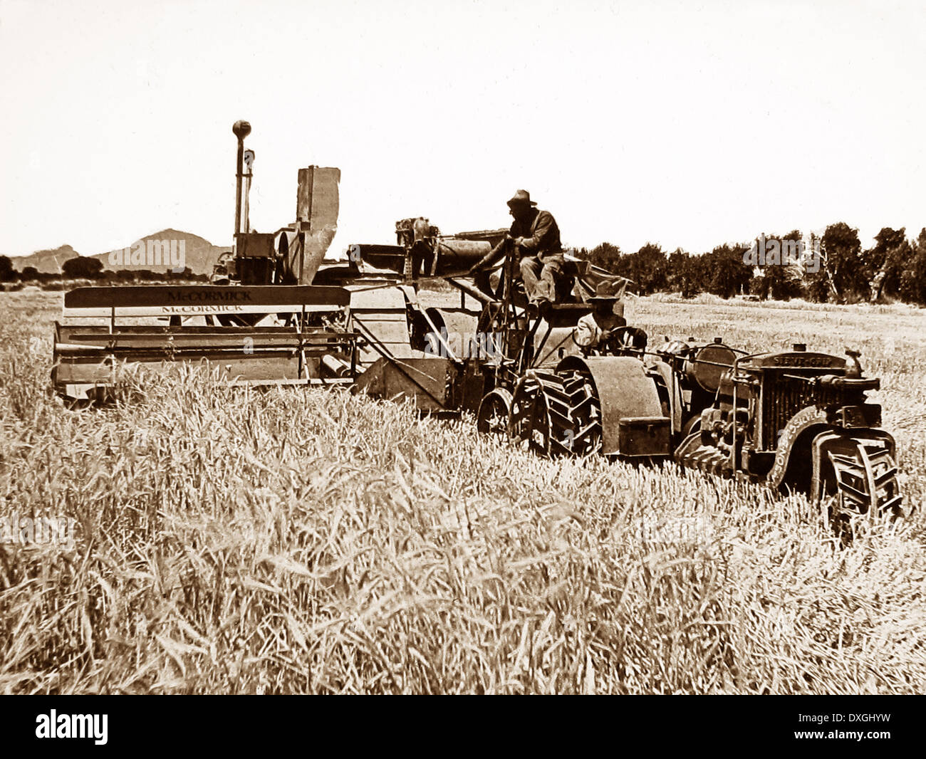 Harvesting barley Fort Collins Colorado USA early 1900s Stock Photo - Alamy