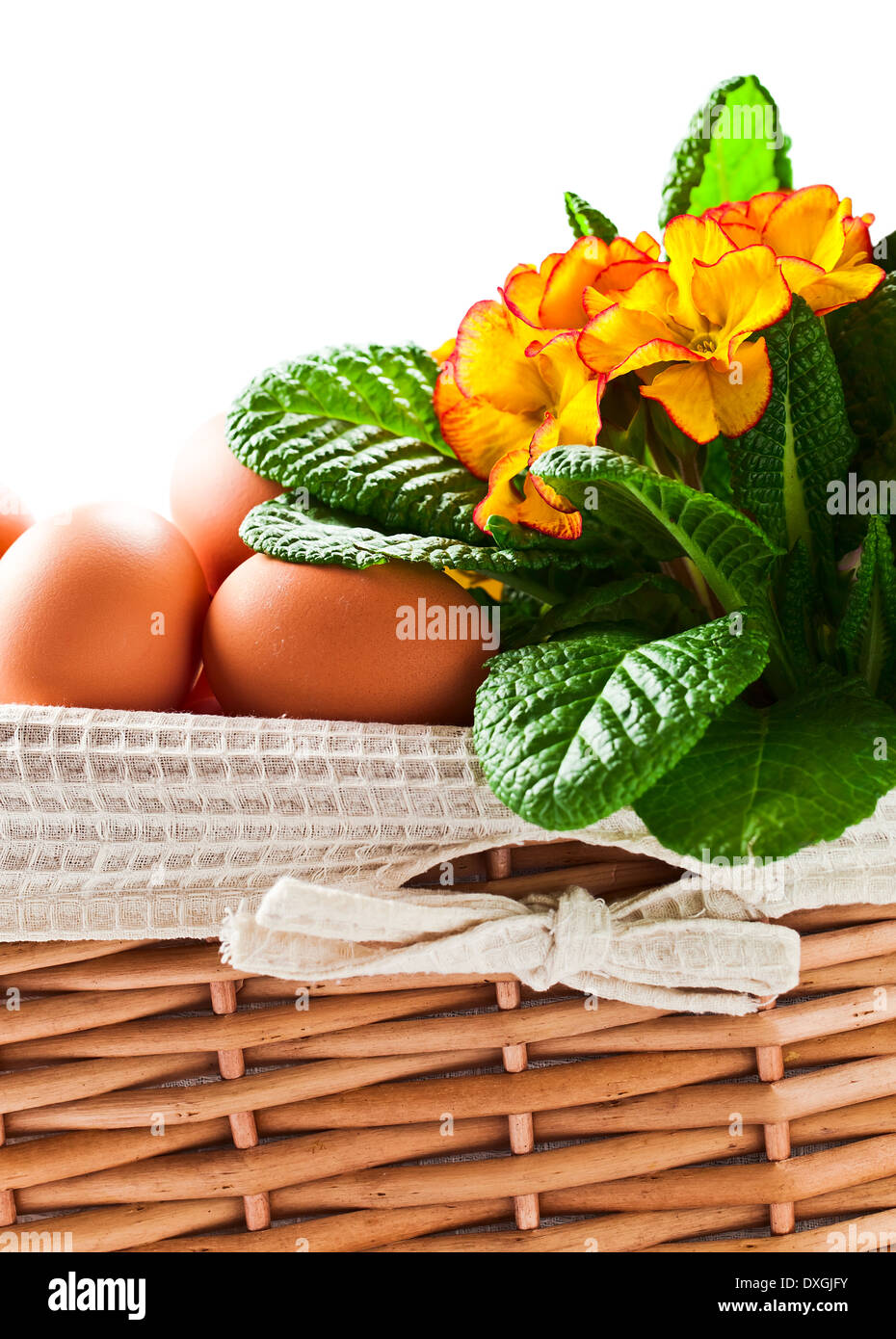 basket with spring flowers and eggs isolated on white Stock Photo - Alamy
