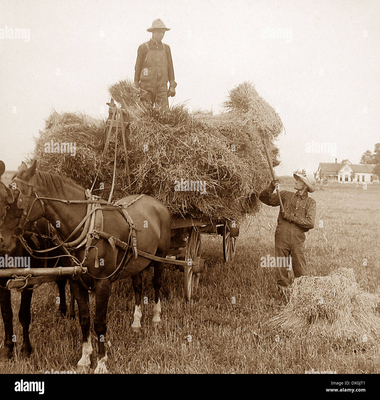 Farming usa 1900s hi-res stock photography and images - Alamy