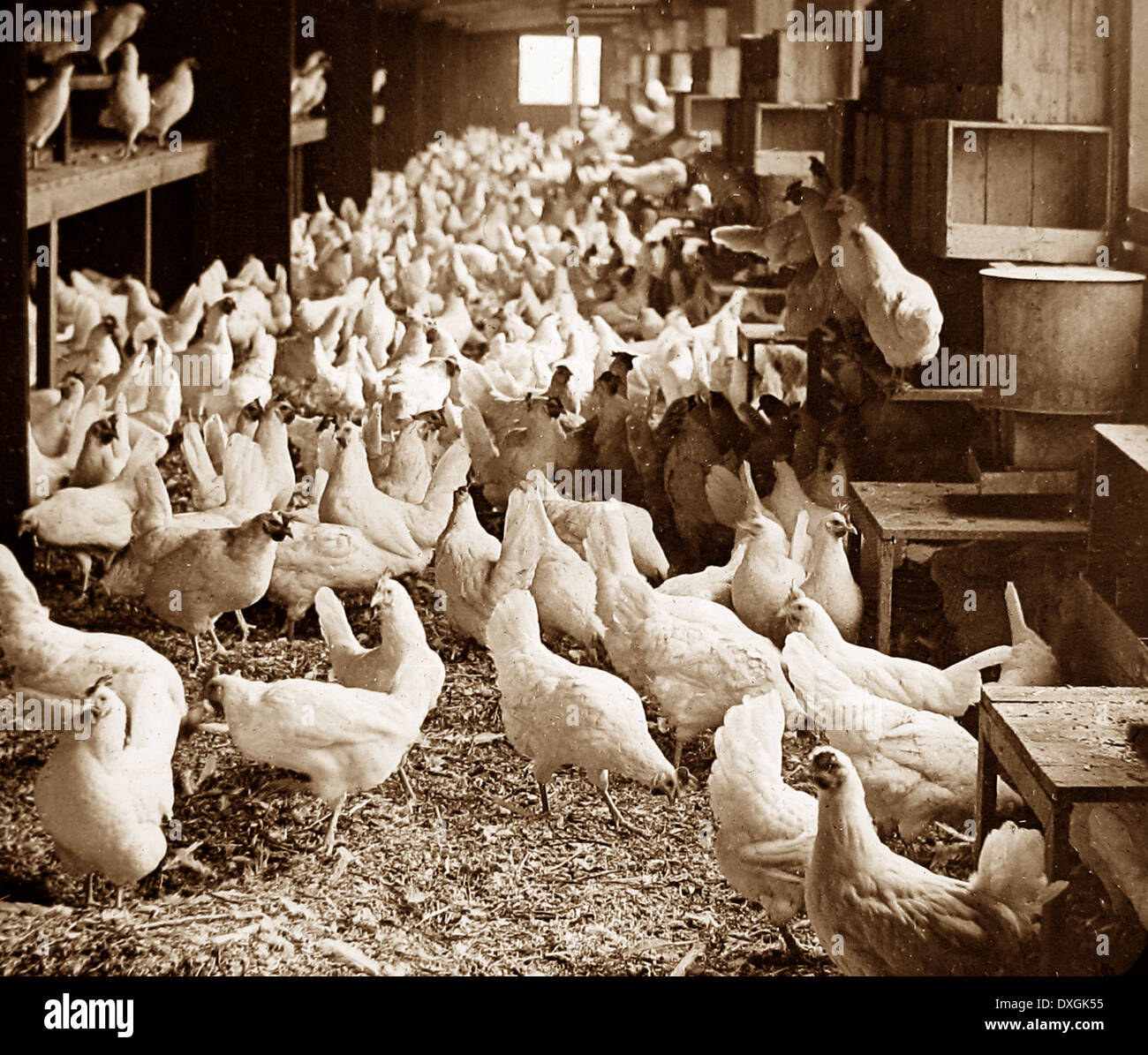 Old farm usa hi-res stock photography and images - Alamy