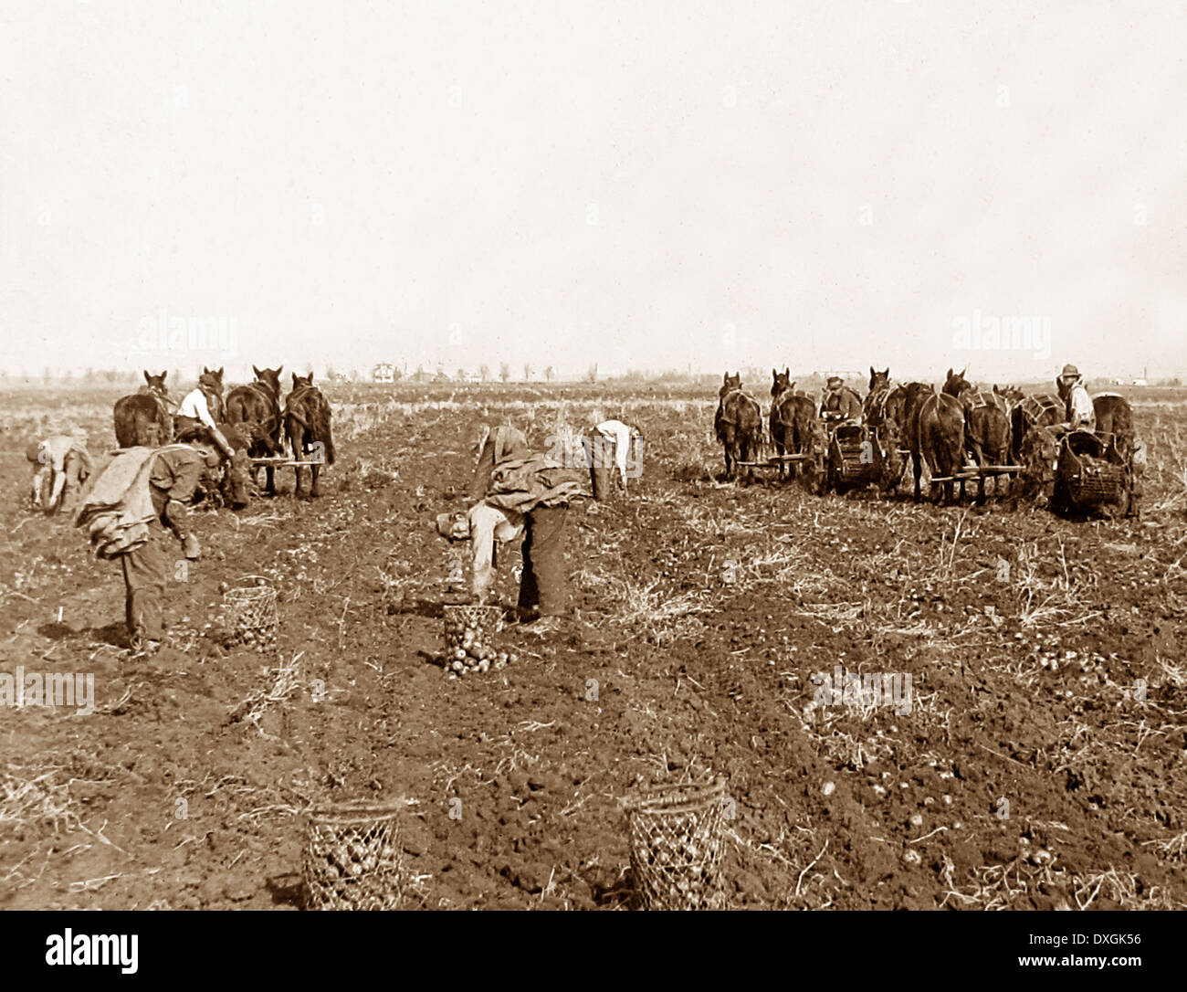 Farming machines 1900s hi-res stock photography and images - Alamy