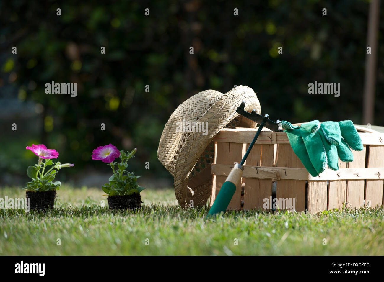 Still life of gardening objects Stock Photo - Alamy