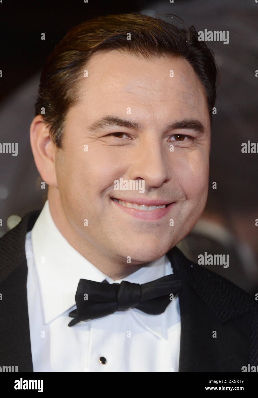 David Walliams has revealed that his wife Lara Stone, is pregnant with ...