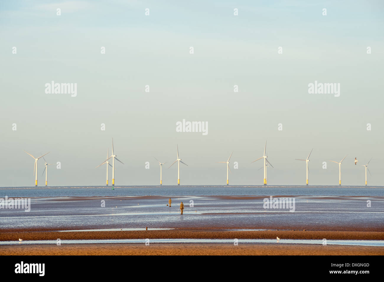 Wing farm in the Mersey estuary Stock Photo - Alamy