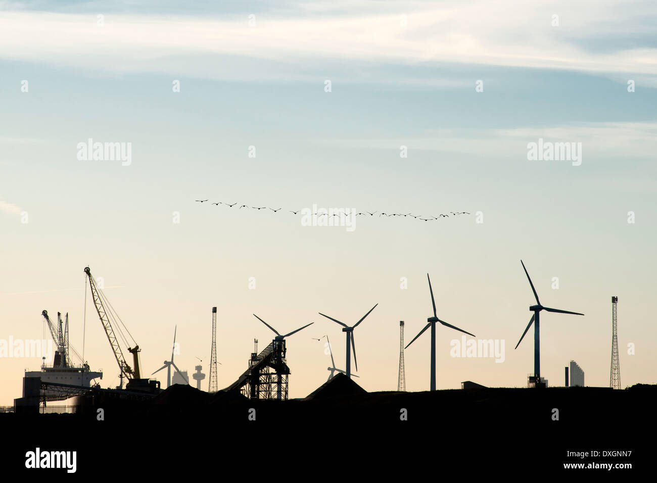 Birds flying over Liverpool Docks Stock Photo - Alamy