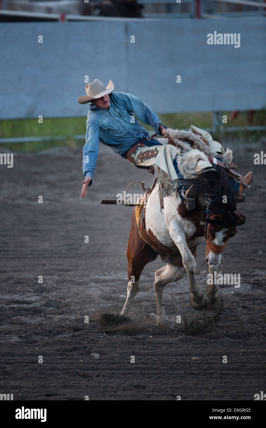 2013 christopher martin hi-res stock photography and images - Alamy