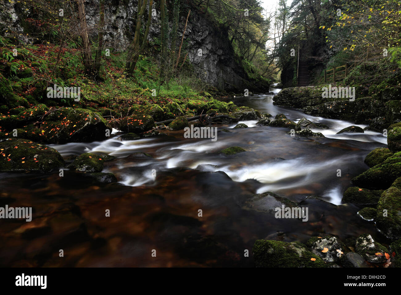 Autumn river Twiss, Ingleton Waterfalls Trail, Ingleton village ...