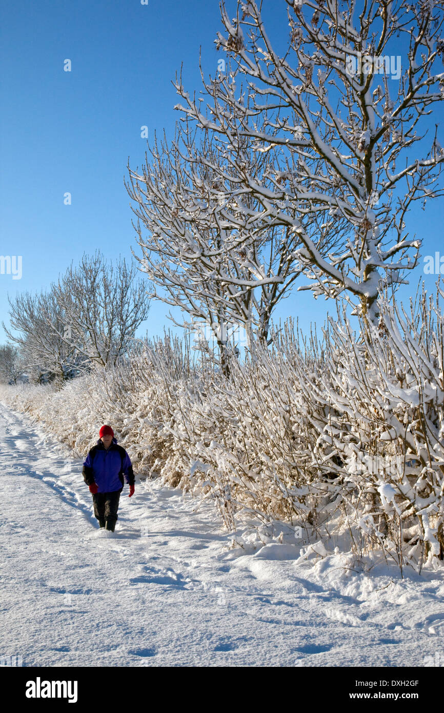 Winter snow on a farm track in North Yorkshire in the United Kingdom ...