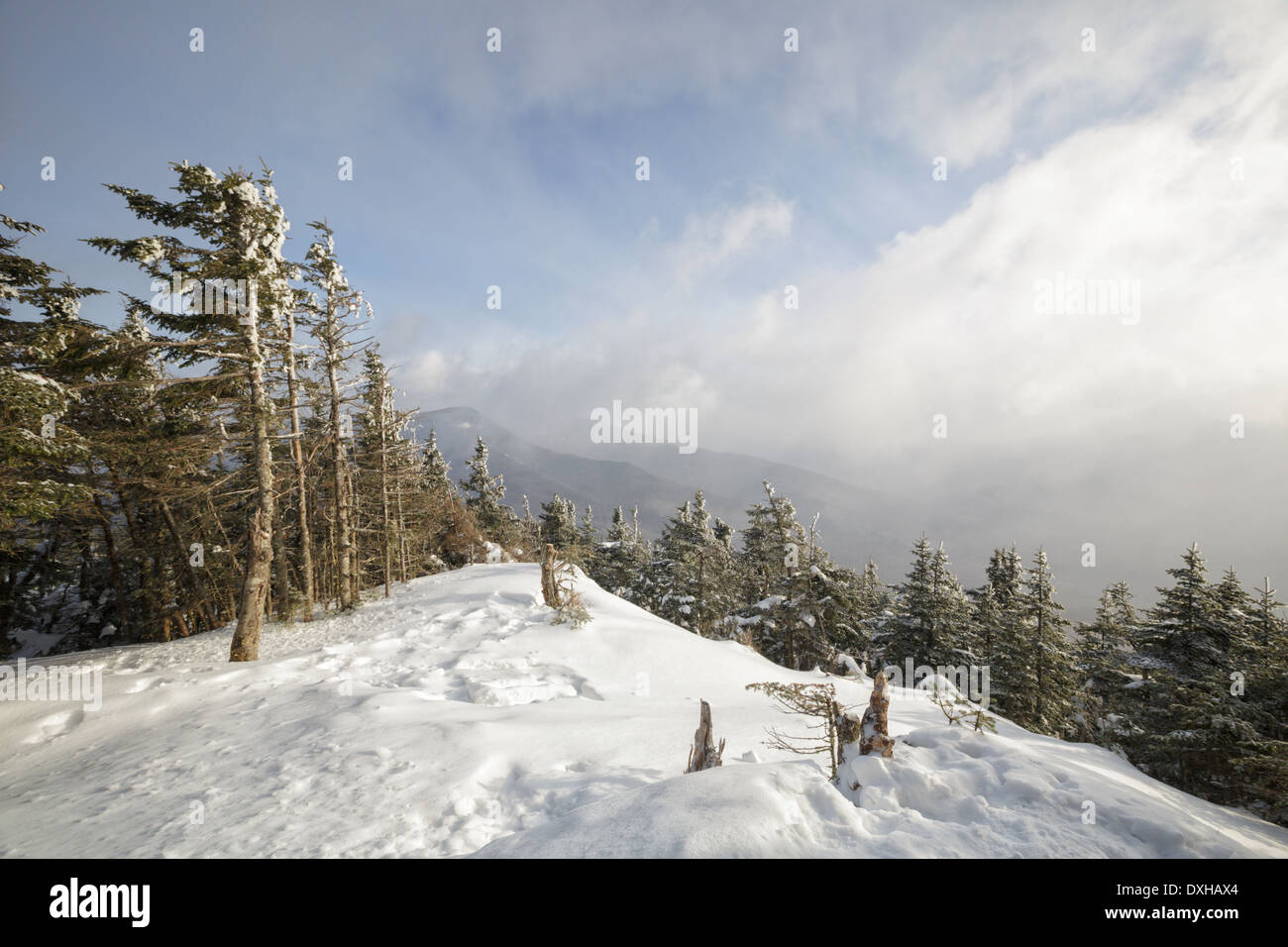 Scenic view from the summit of Mount Tecumseh in Waterville Valley, New ...