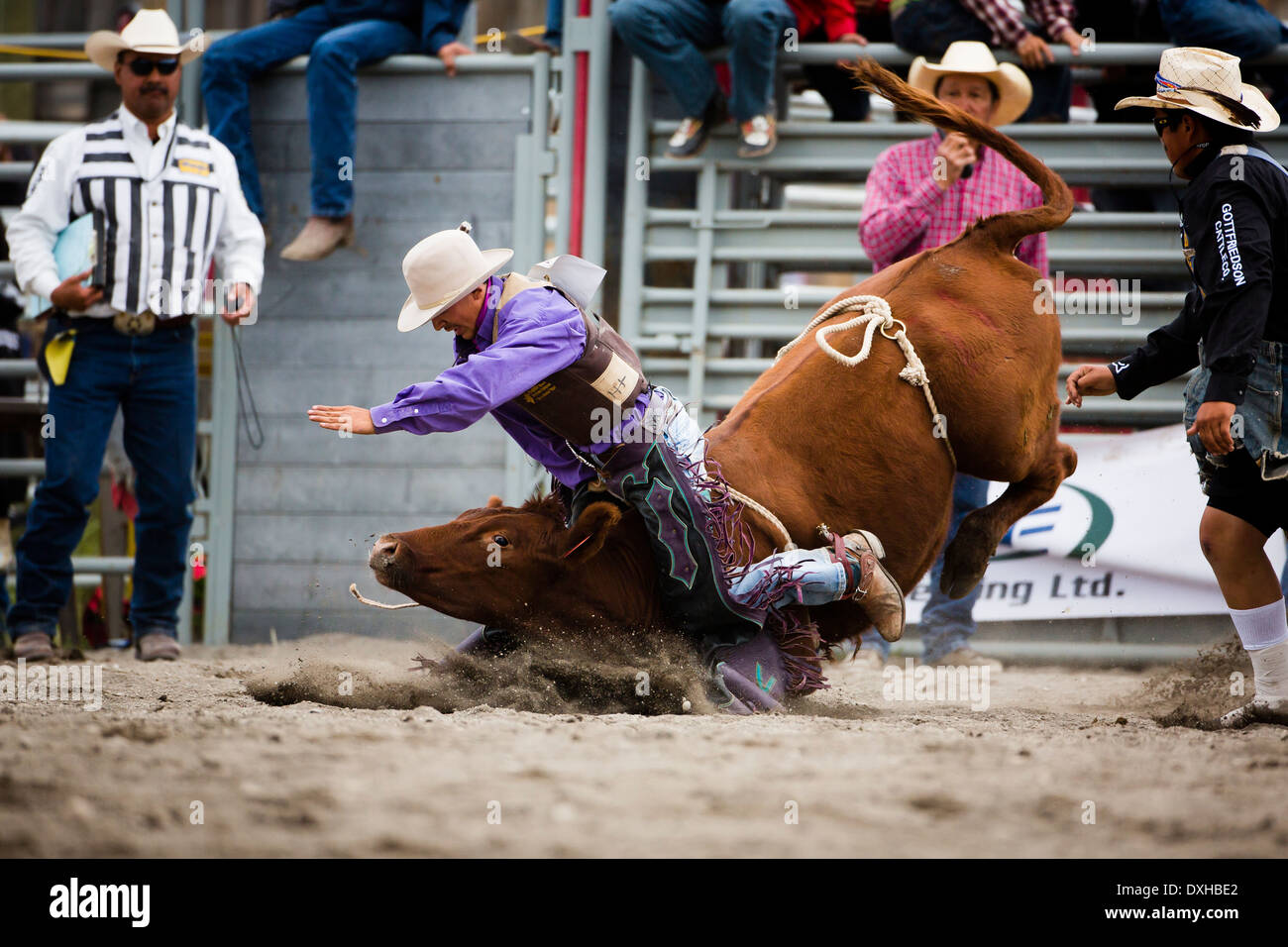 2013 christopher martin hi-res stock photography and images - Alamy