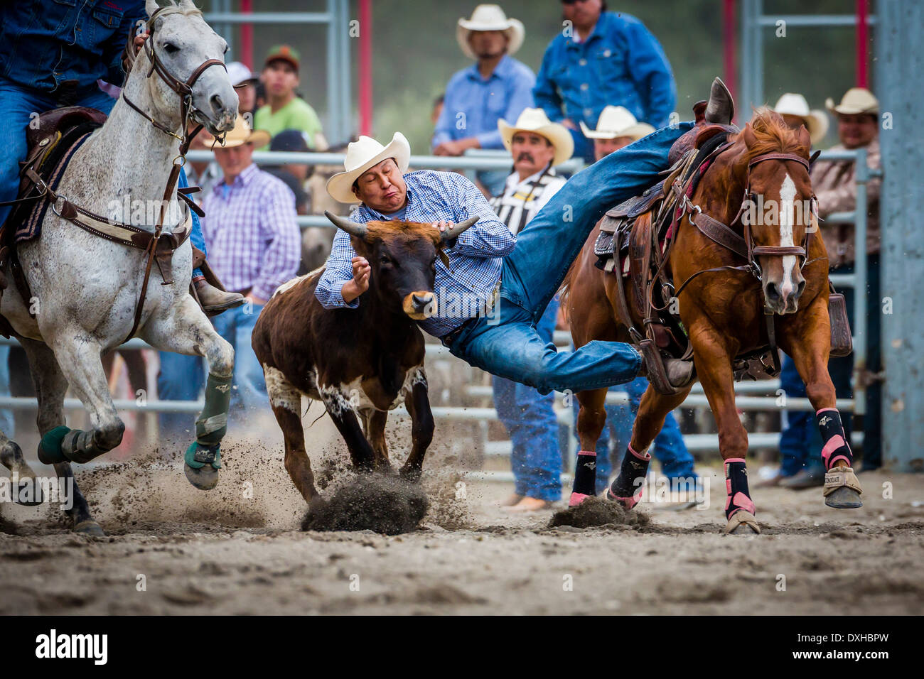 2013 christopher martin hi-res stock photography and images - Alamy