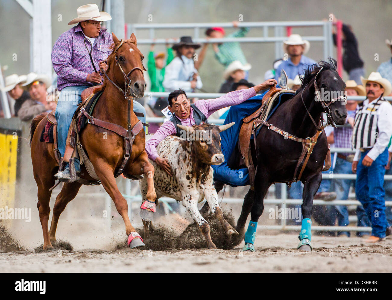 2013 christopher martin hi-res stock photography and images - Alamy