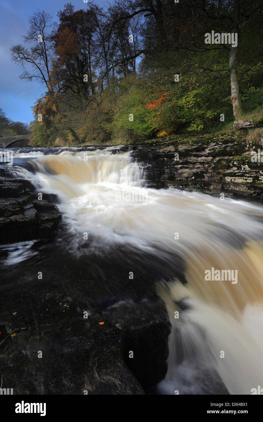 Autumn, Stainforth Force waterfalls, River Ribble, Yorkshire Dales ...