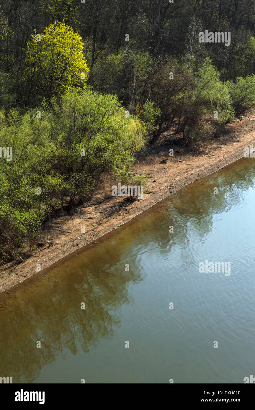 River view and a spring forest Stock Photo - Alamy