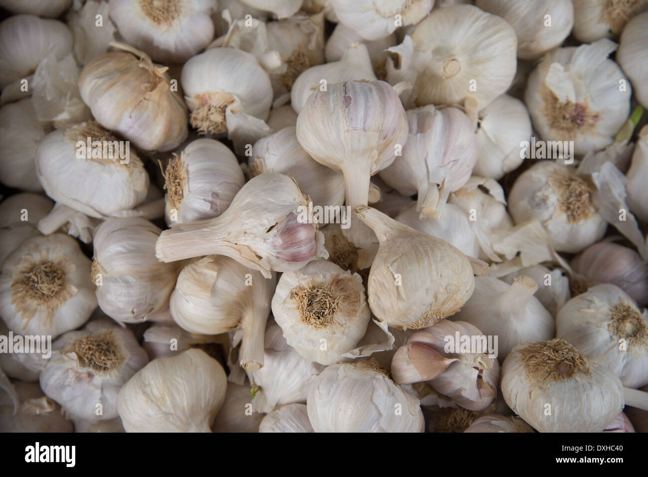 Vegetarin food hi-res stock photography and images - Alamy