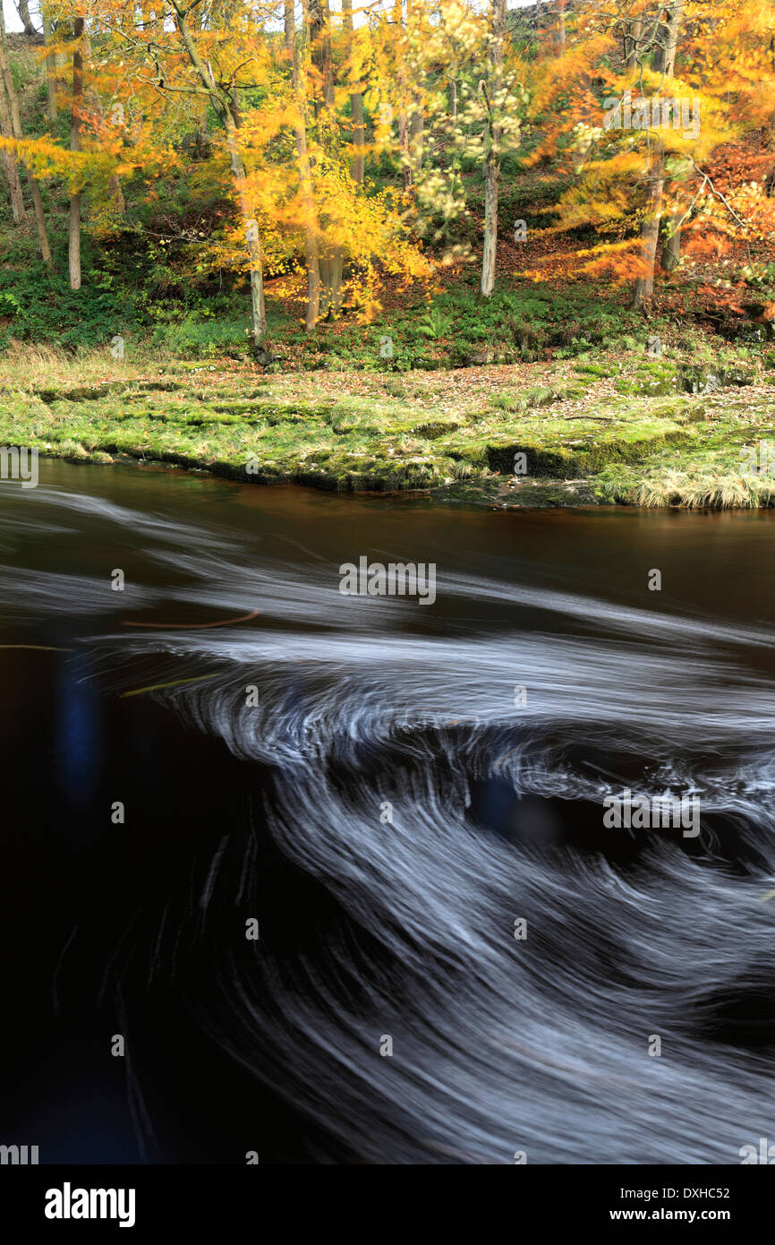 Autumn, River Ribble, Yorkshire Dales National Park, England, UK Stock ...
