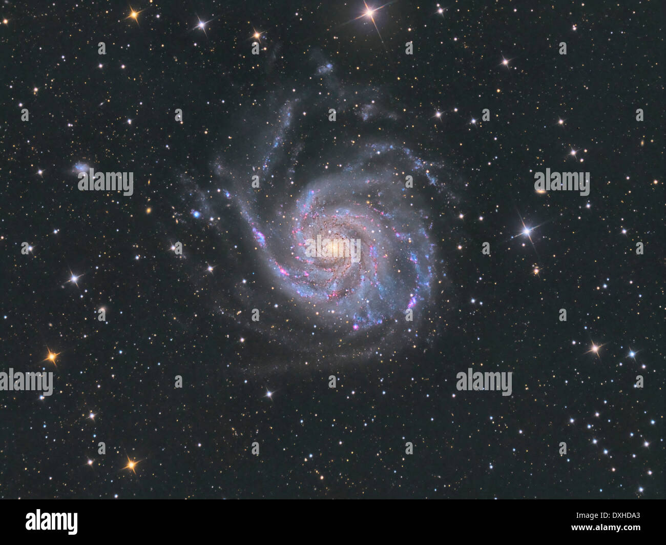 The pinwheel galaxy hi-res stock photography and images - Alamy
