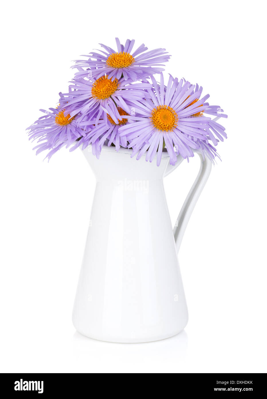Blue camomile flowers in jug. Isolated on white background Stock Photo ...