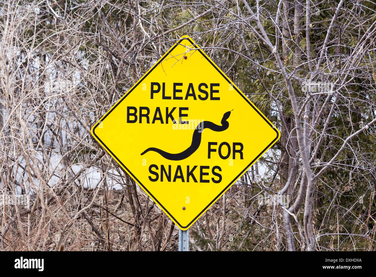 Brake for snakes sign hi-res stock photography and images - Alamy