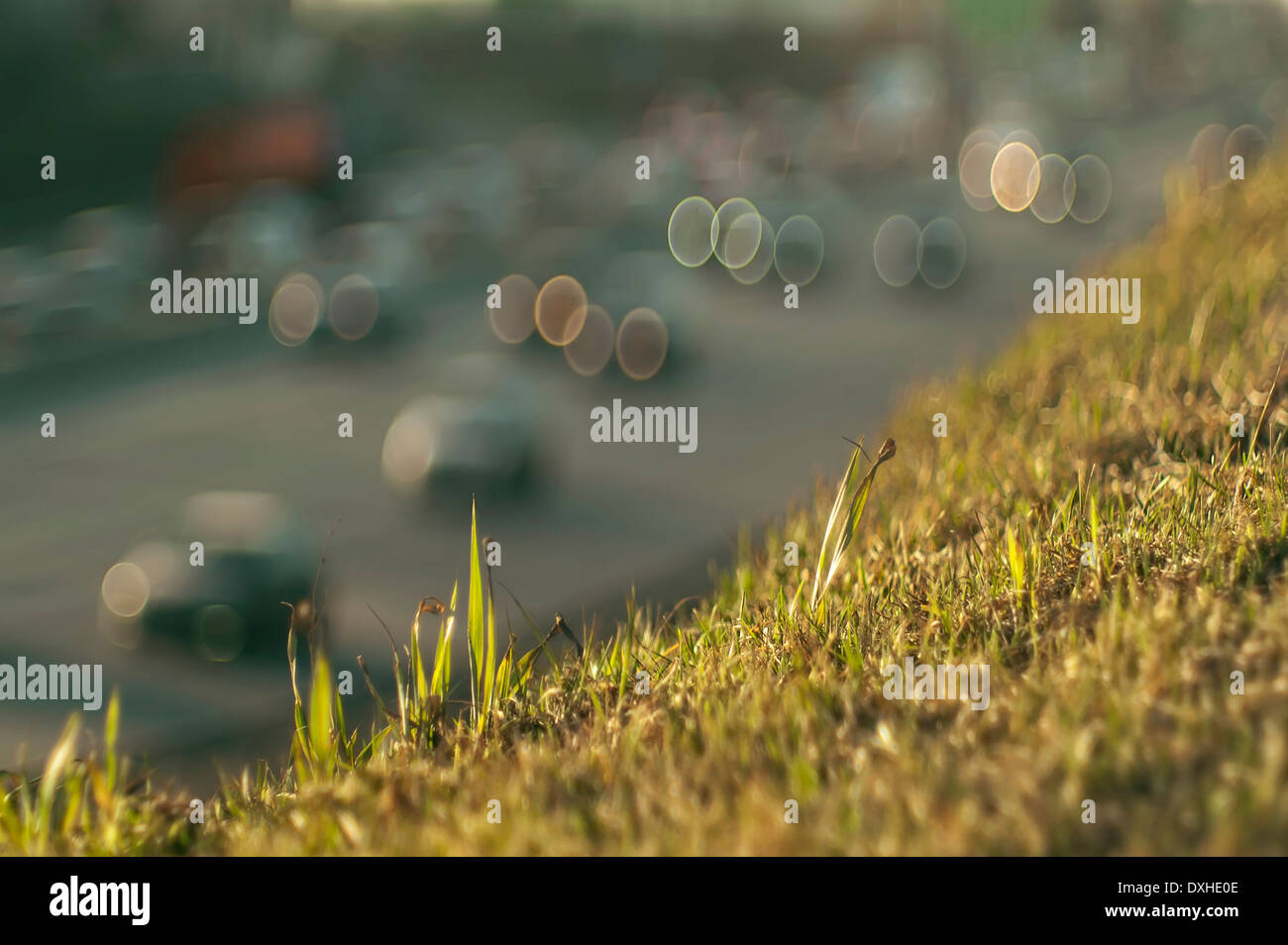 green grass on a side of a busy public road Stock Photo - Alamy