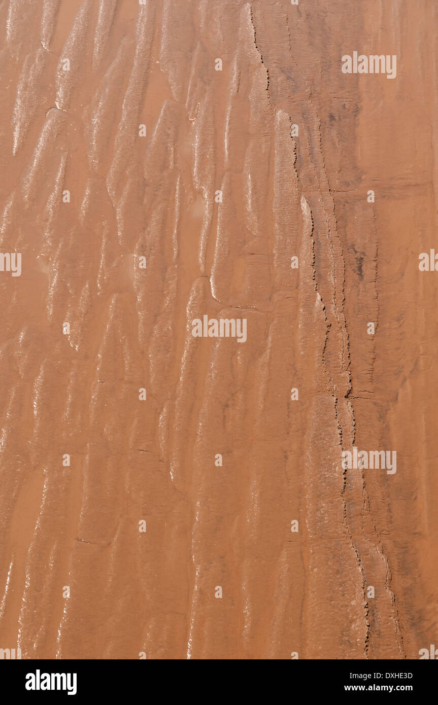 Patterns in wet mud Stock Photo - Alamy