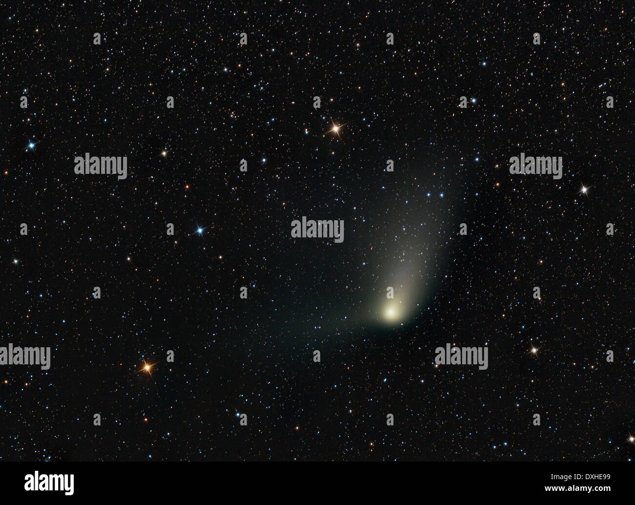 Comet Panstarrs.Astronomical image with a 12" Newtonian telescope and a ...