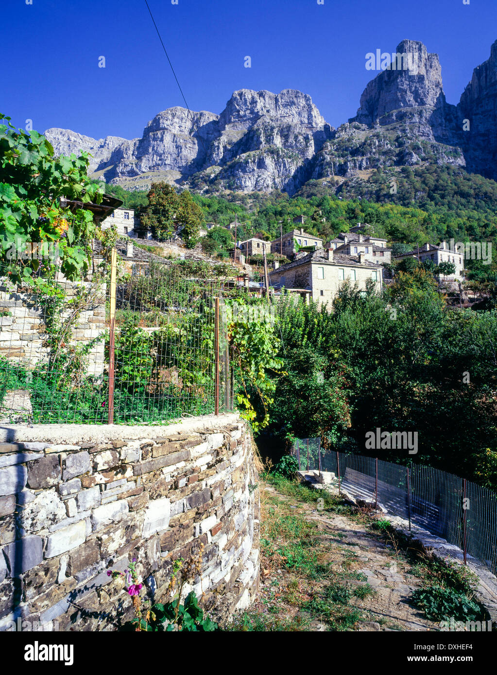 Mikro papingo hi-res stock photography and images - Alamy