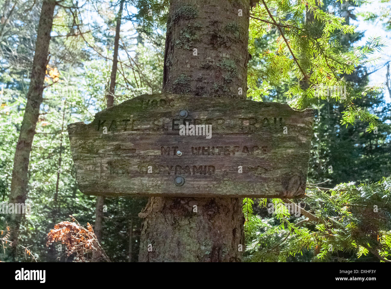Kate Sleeper Trail in the Sandwich Range Wilderness of the White ...
