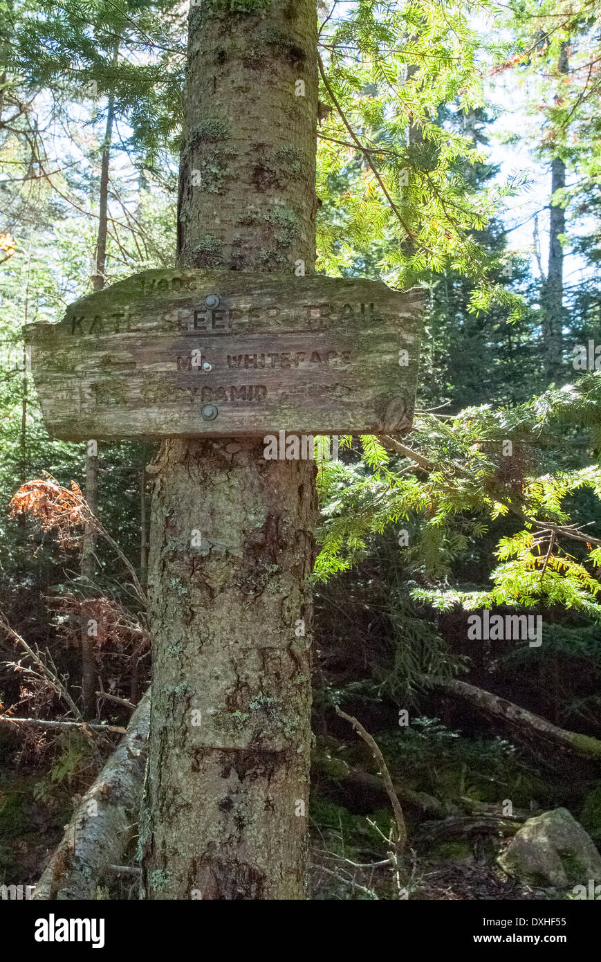 Kate Sleeper Trail in the Sandwich Range Wilderness of the White ...