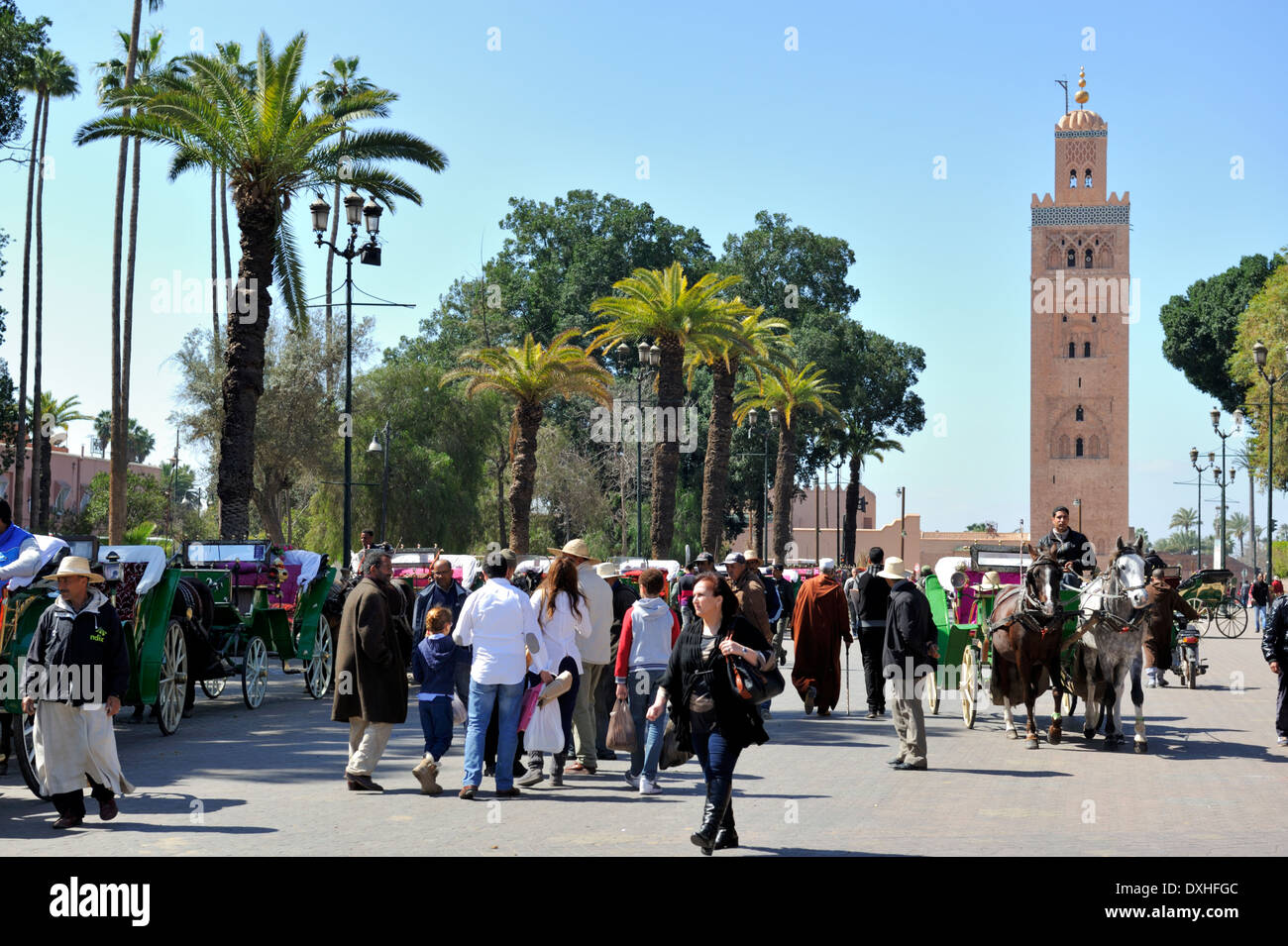 Caleche marrakech hi-res stock photography and images - Alamy