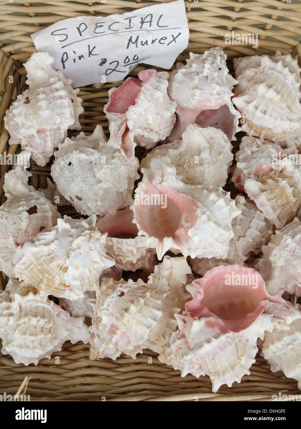 Florida special hi-res stock photography and images - Alamy