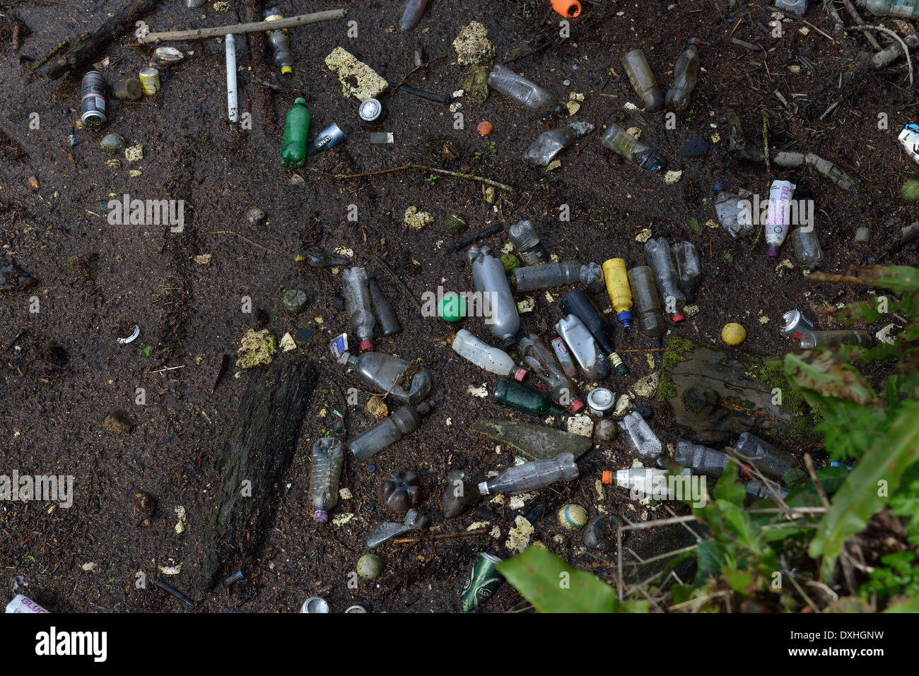 Pollution river plastic bottles and cans hi-res stock photography and ...