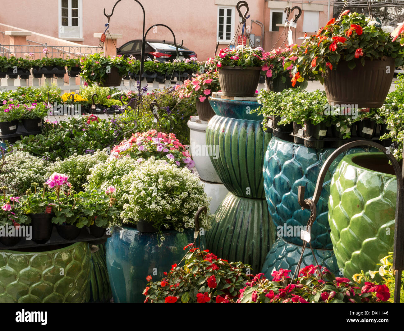 Native Gardens Florist in Boca Grande, FL, USA Stock Photo - Alamy