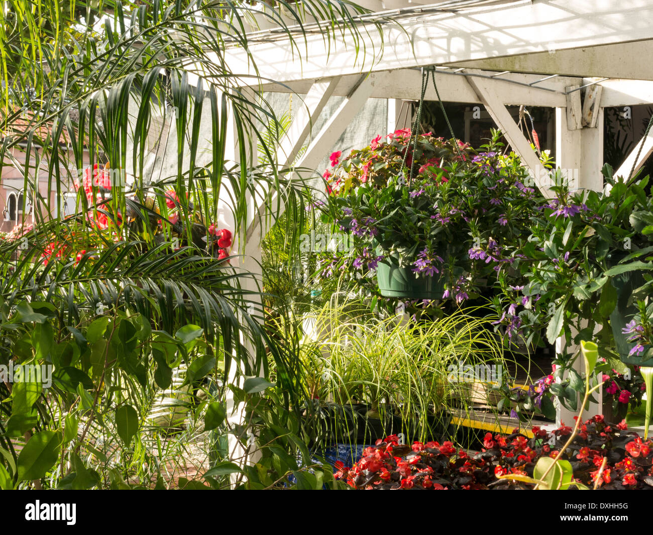 Botanical native gardens hi-res stock photography and images - Alamy