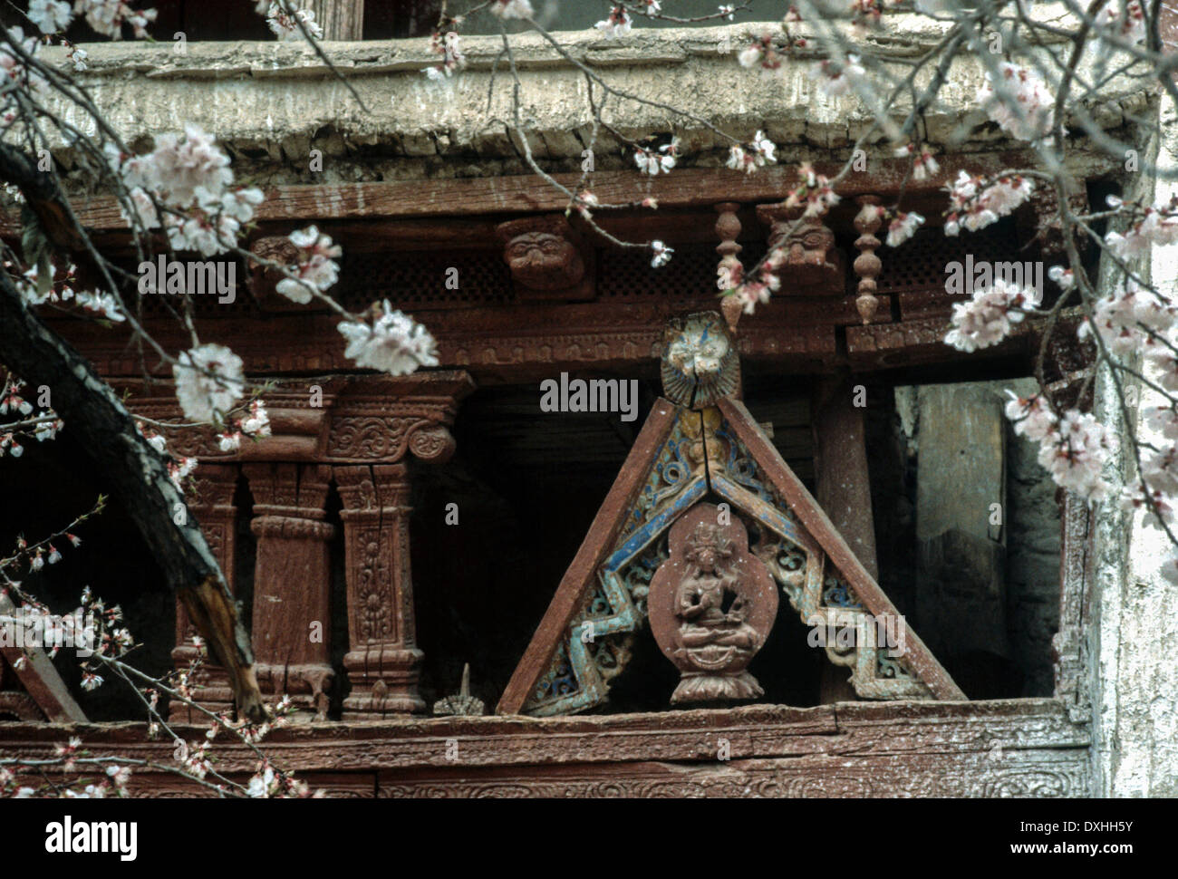 Alchi monastery oldest wood temple Ladakh apricot blossom framing 10th ...
