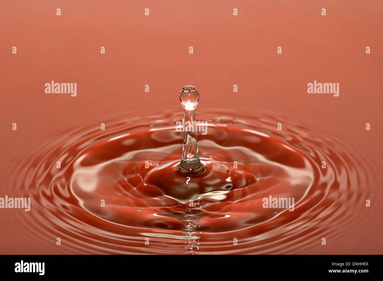 Water droplet falling onto water surface Stock Photo - Alamy