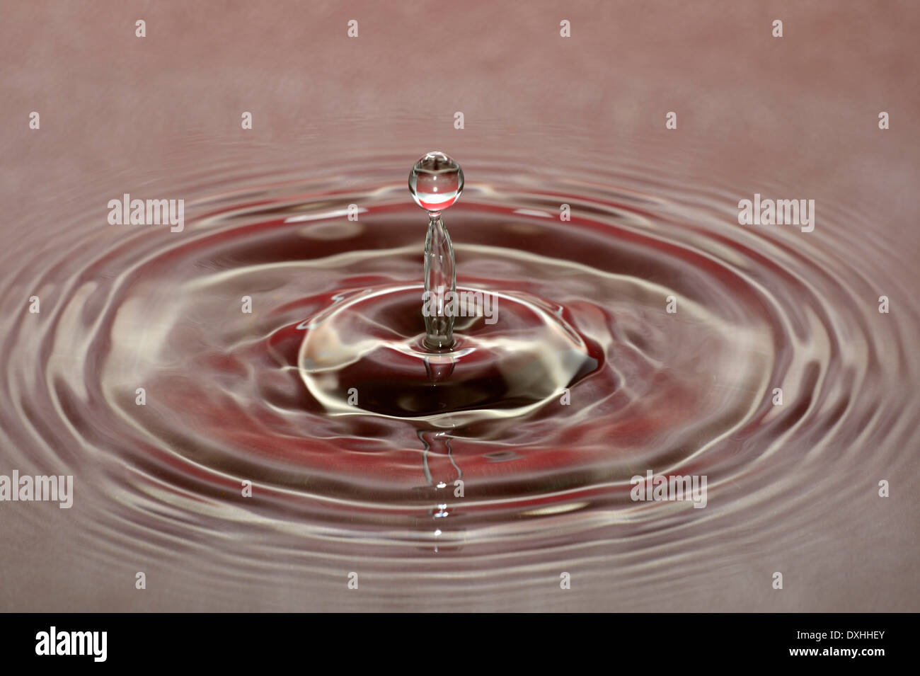 Water droplet falling onto water surface Stock Photo - Alamy