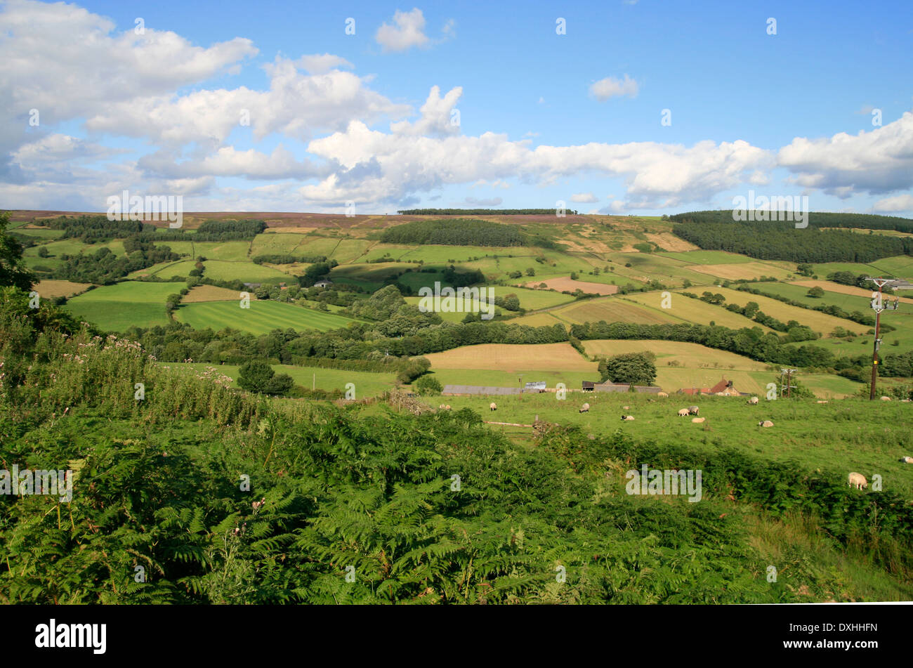 moor and farm Rosedale North Yorkshire England UK Stock Photo - Alamy