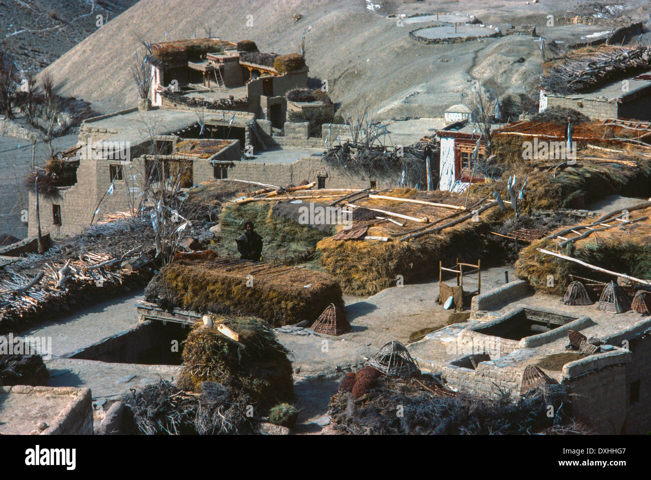 Ladakh traditional village stone houses straw roof animal fodder roof ...