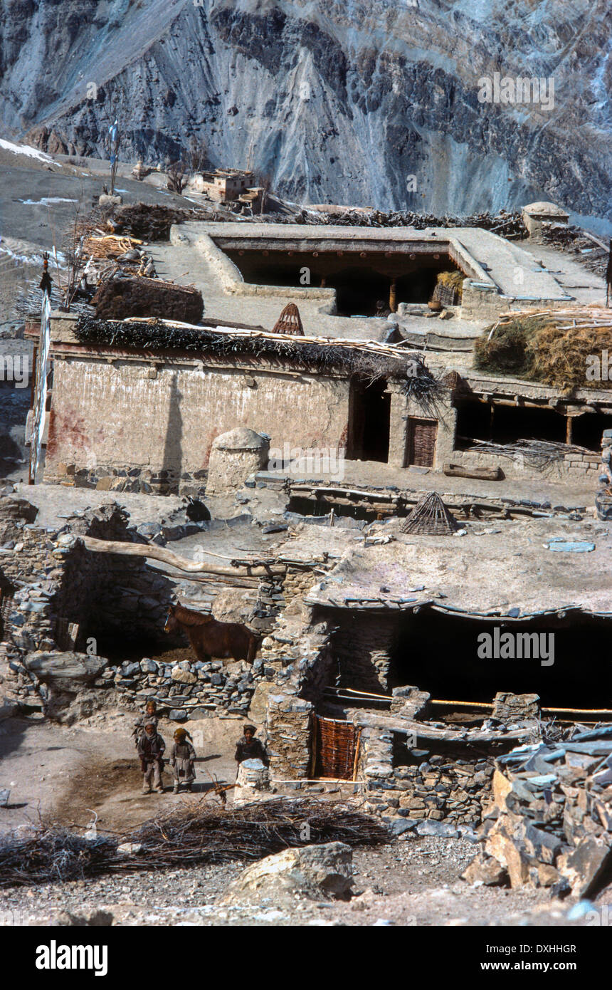 Ladakh traditional village stone houses straw roof animal fodder roof ...