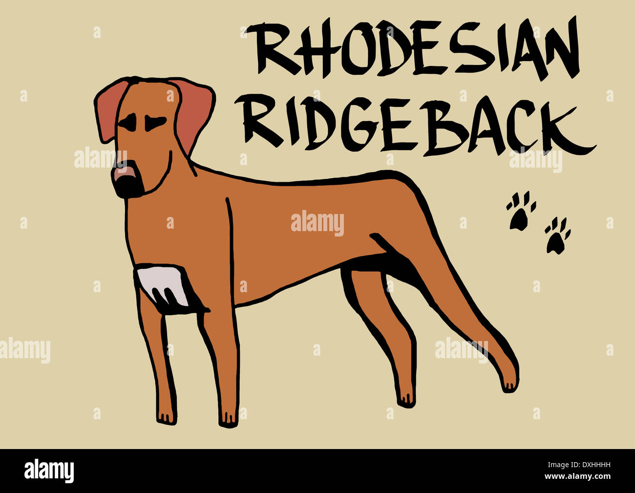 Breed classification hi-res stock photography and images - Alamy