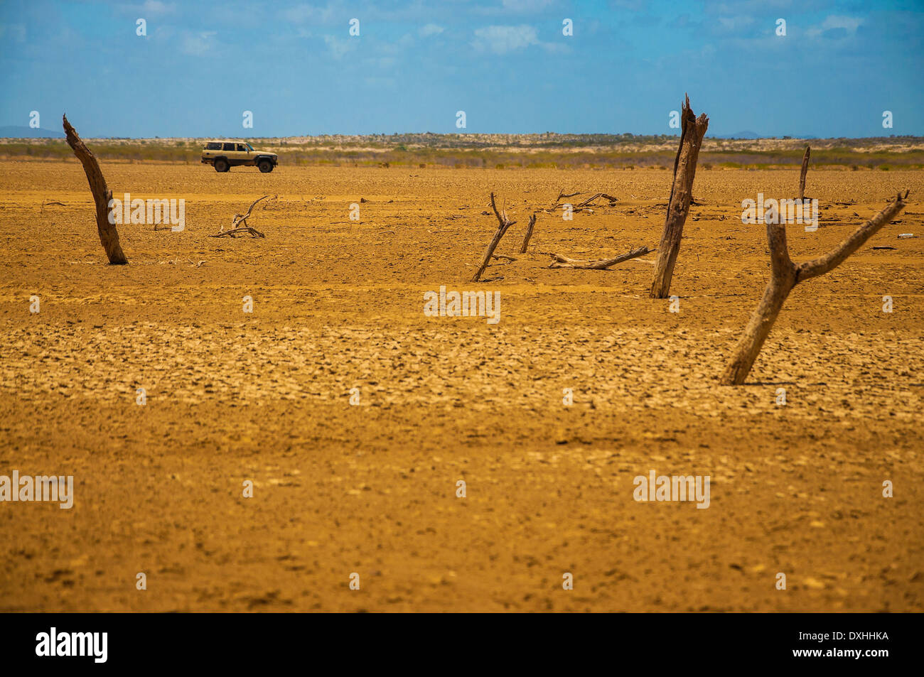 Colombia desert dead tree barren hi-res stock photography and images ...