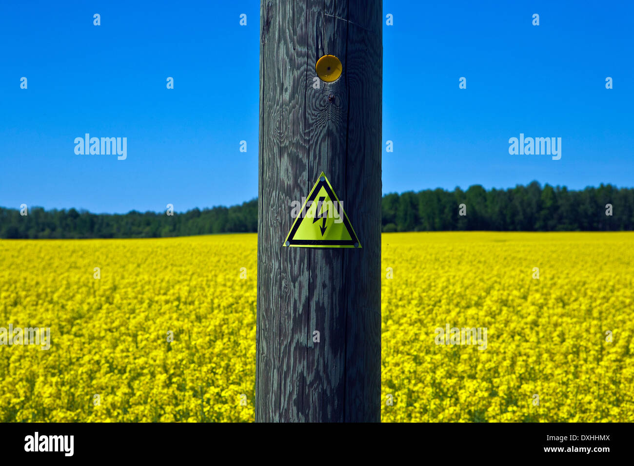 Electrical warning sign and rape field landscape in background Stock ...